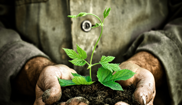 Form S-1 Registration, Filing and Requirements, Form S-1 and Going ...